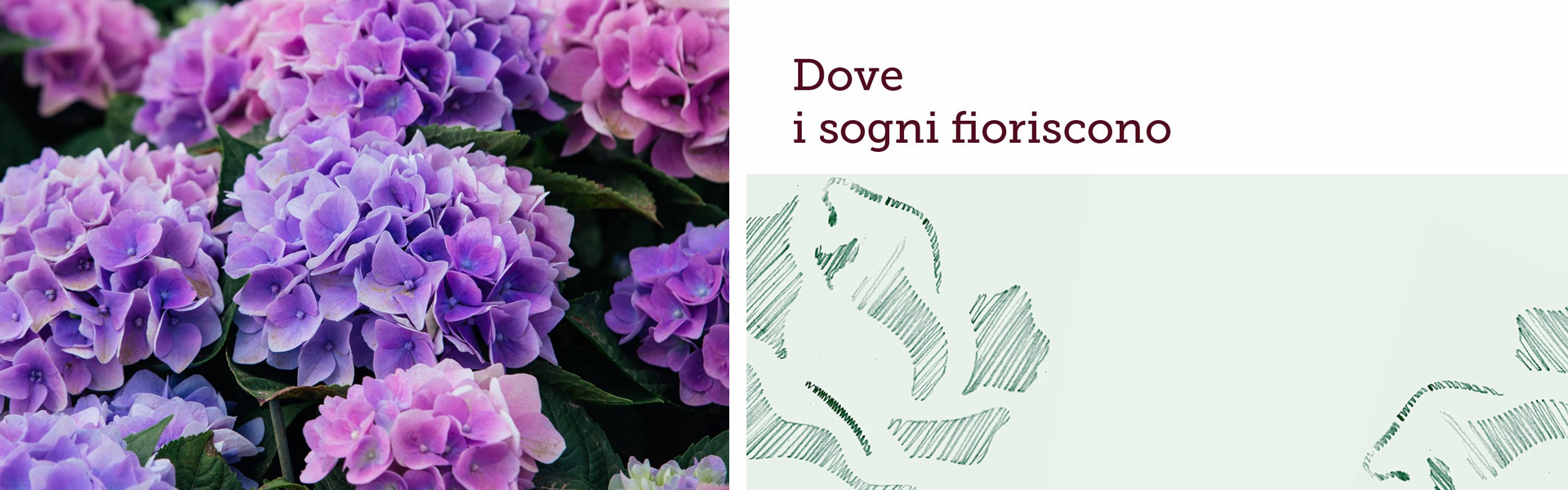 Flora 2000 Giardini & Vivai - Flora 2000