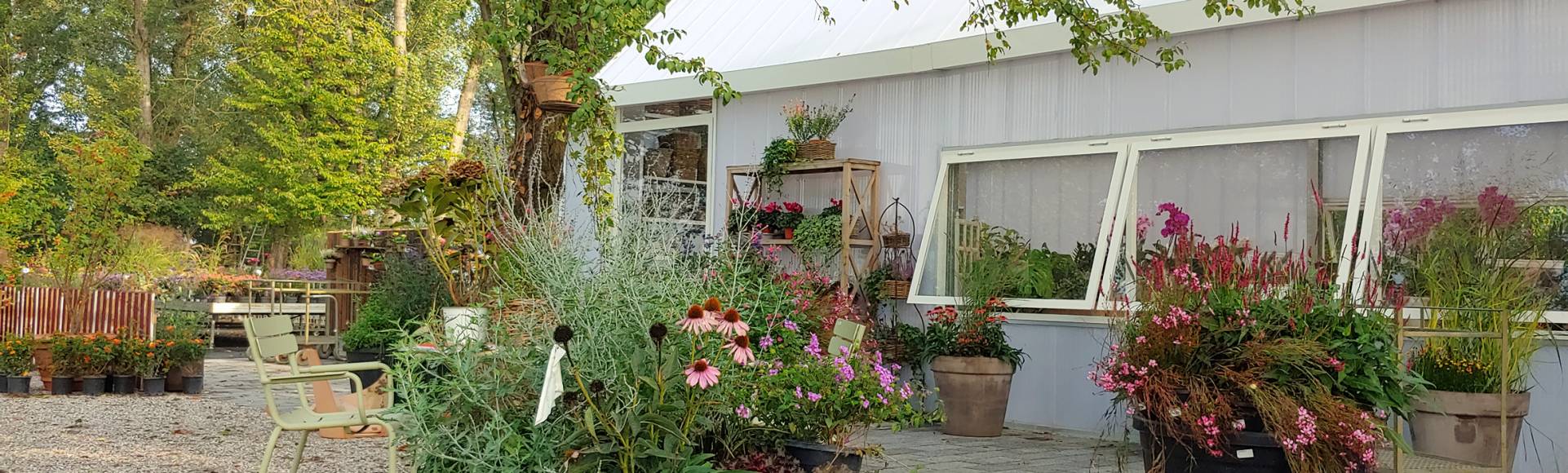 Flora 2000 Giardini & Vivai - Flora 2000